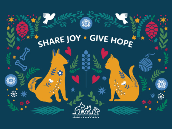 Irvine CONNECT | City of Irvine